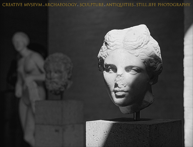 Michael Svetbird Photography